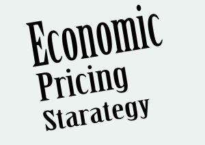 Economy Pricing Strategy
