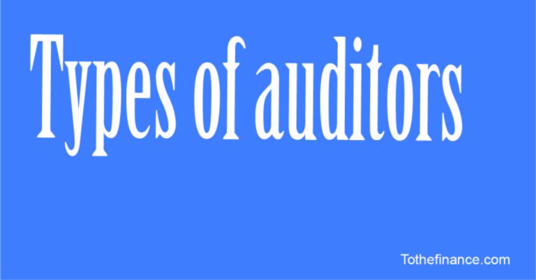 Types of Auditors