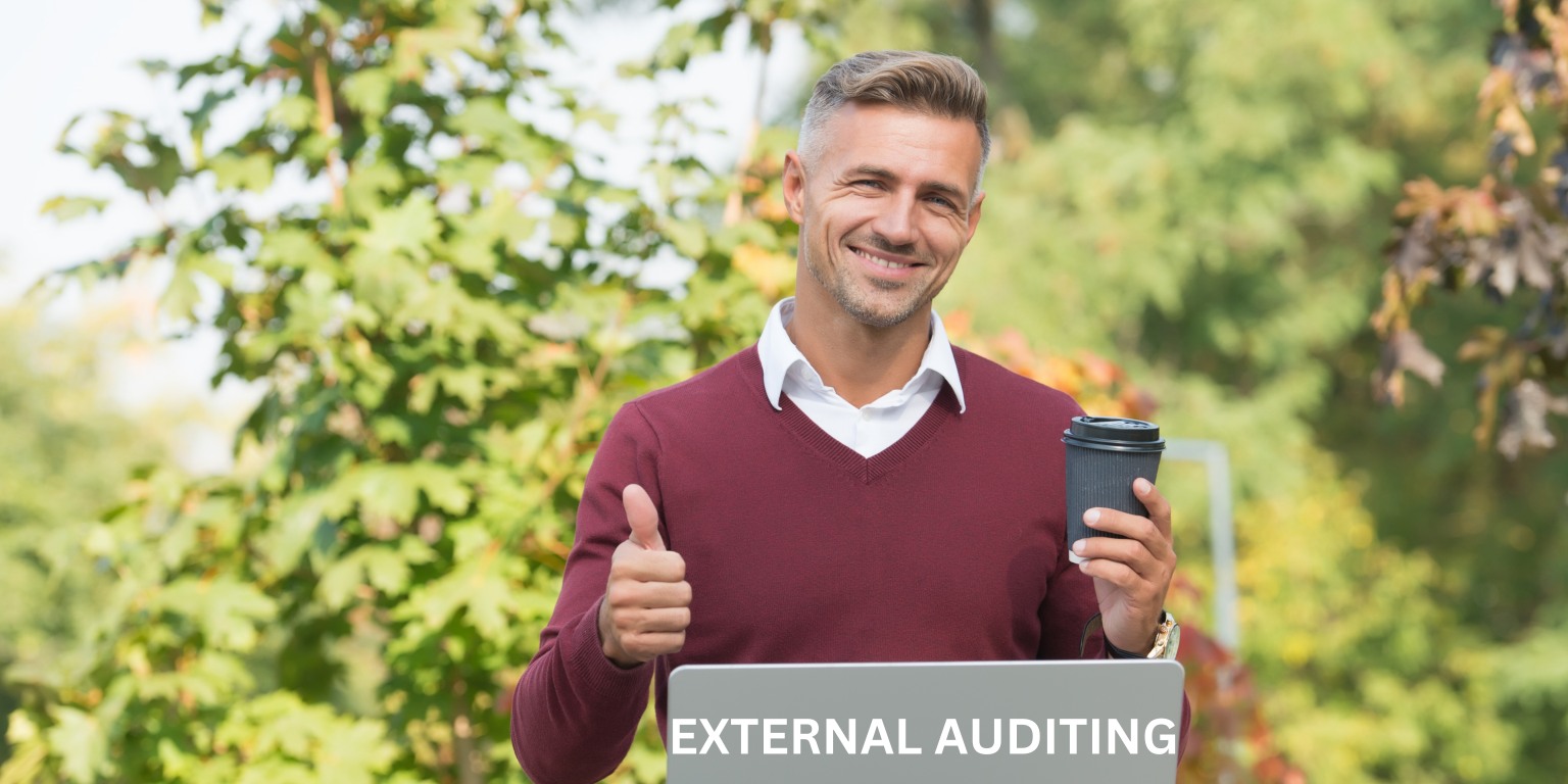 What is External Auditing?